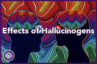 Hallucinogens and Drug Abuse | Laguna Treatment Hospital